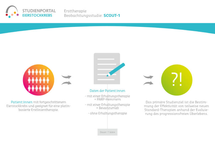 NOGGO ov54 - SCOUT-1